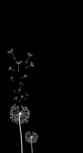 40+ Wallpaper Hitam Aesthetic Paling Keren, Polos dan Elegan