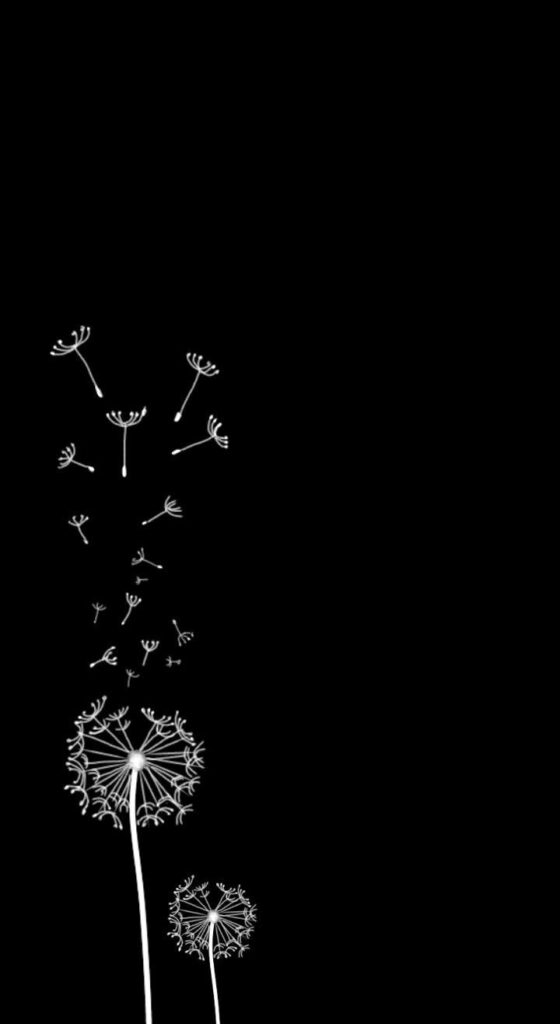 40+ Wallpaper Hitam Aesthetic Paling Keren, Polos dan Elegan