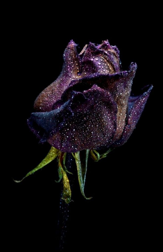 40+ Wallpaper Hitam Aesthetic Paling Keren, Polos dan Elegan