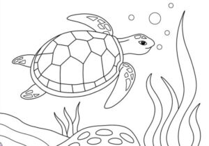 15+ Sketsa Gambar Hewan dan Tumbuhan yang Mudah Ditiru