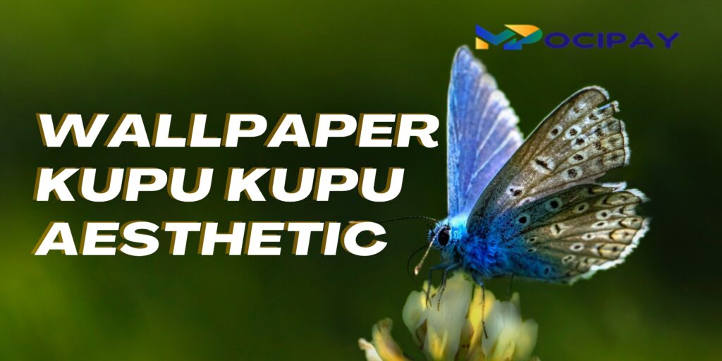 25+ Wallpaper Kupu Kupu Aesthetic Kualitas Terbaik - MOCIPAY