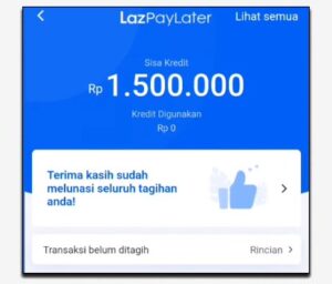 5 Solusi Lazada Paylater Tidak Tersedia Untuk Order Ini