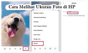 8 Cara Mengecilkan Ukuran Foto di HP Tanpa Aplikasi