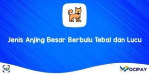 15+ Jenis Anjing Besar Berbulu Tebal dan Lucu, Cocok Penjaga Rumah