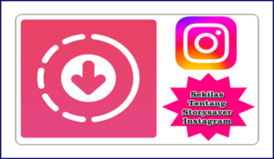 Storysaver Instagram Downloader: Cara Menggunakan dan Fitur Andalan