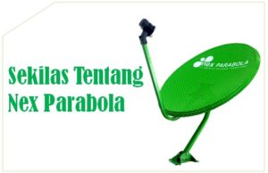 Daftar Paket Nex Parabola Terbaru 2024