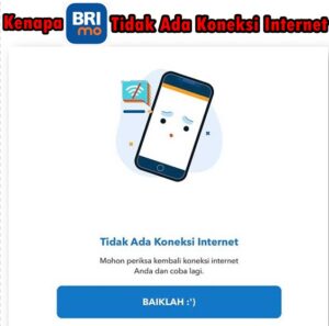 Ternyata ini Sebabnya Kenapa BRImo Tidak Ada Koneksi Internet!