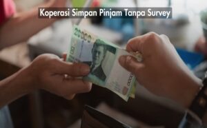 5 Rekomendasi Koperasi Simpan Pinjam Tanpa Survey