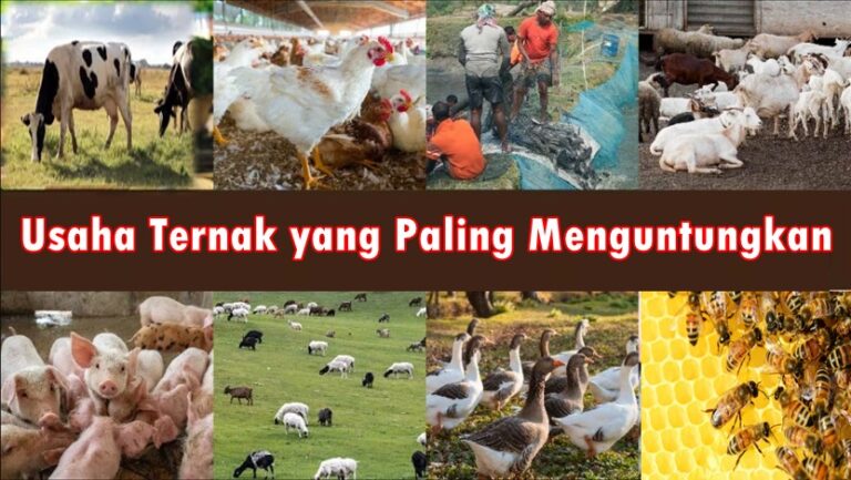 15 Usaha Ternak Yang Menguntungkan: Modal Sedikit Keuntungan Melimpah!