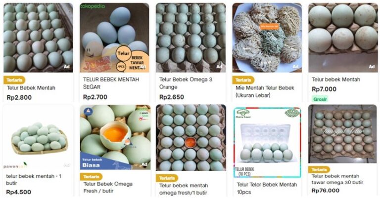 List Harga Telur Bebek Mentah dan Telur Asin 2024