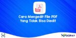 3 Cara Mengedit File PDF Yang Tidak Bisa Diedit