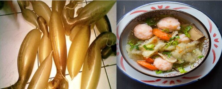 Daftar Harga Gelembung Ikan Berdasarkan Jenis dan Ukuran